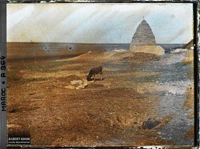 Maroc, Marrakech, Un douar et les silos. Silo à grains (?) d'un douar